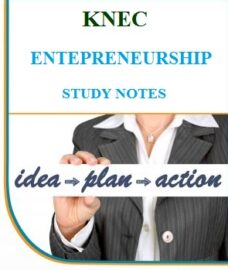 KNEC Entrepreneurship notes Complete Pdf - pdf notes