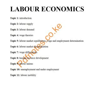 Labour Economics notes - pdf notes